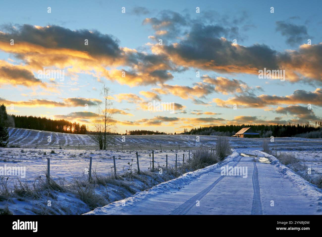 Rural landscape with a country road to the barn at winter daybreak ...