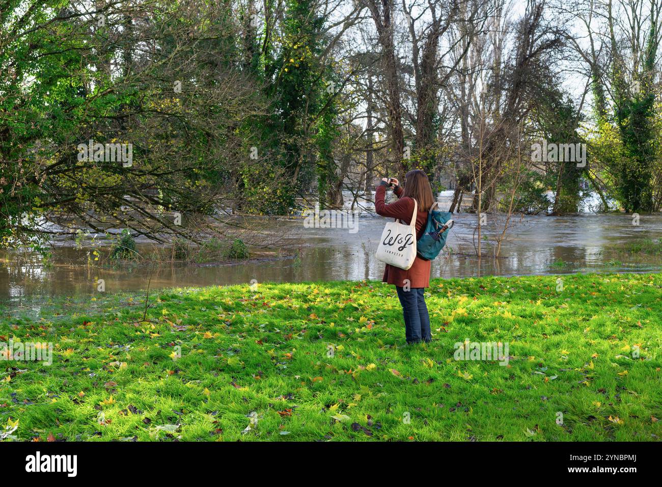 Chippenham, Wiltshire, UK, 25th Nov, 2024. A woman is pictured in ...