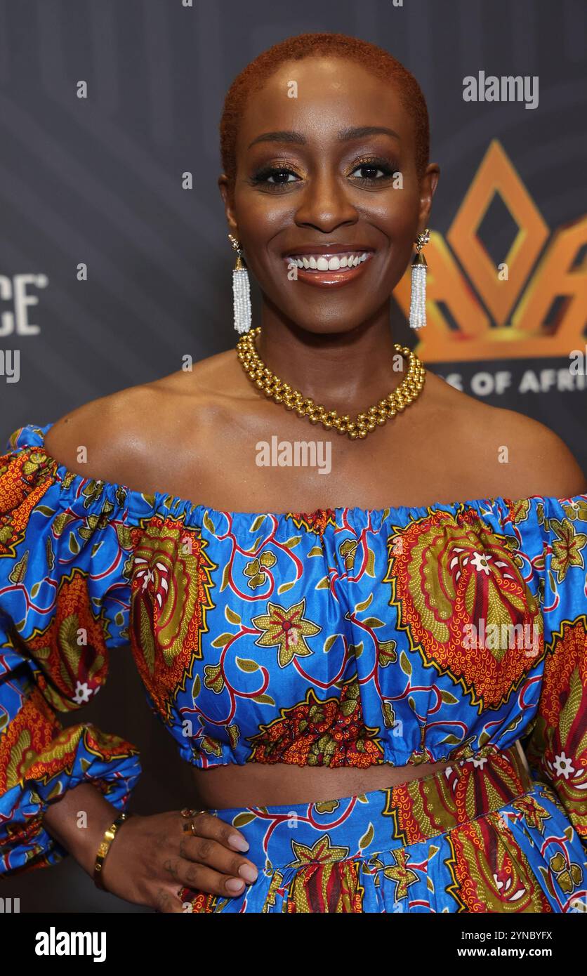 LOS ANGELES, CA - NOVEMBER 24: CJ Obilom at the Heirs Of Afrika And ...