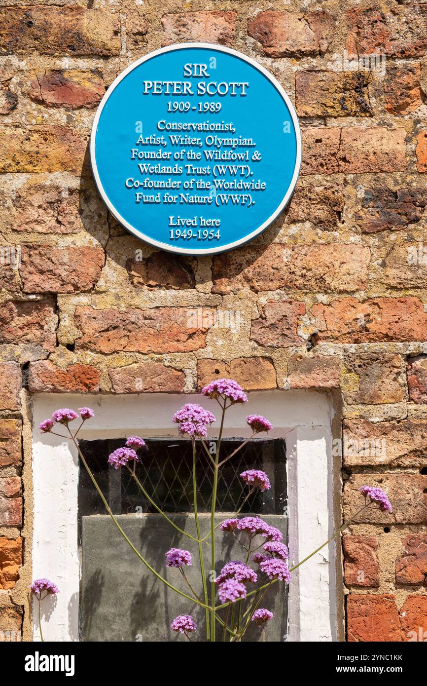UK, England, Gloucestershire, Vale of Berkeley, Slimbridge, Wildflower ...