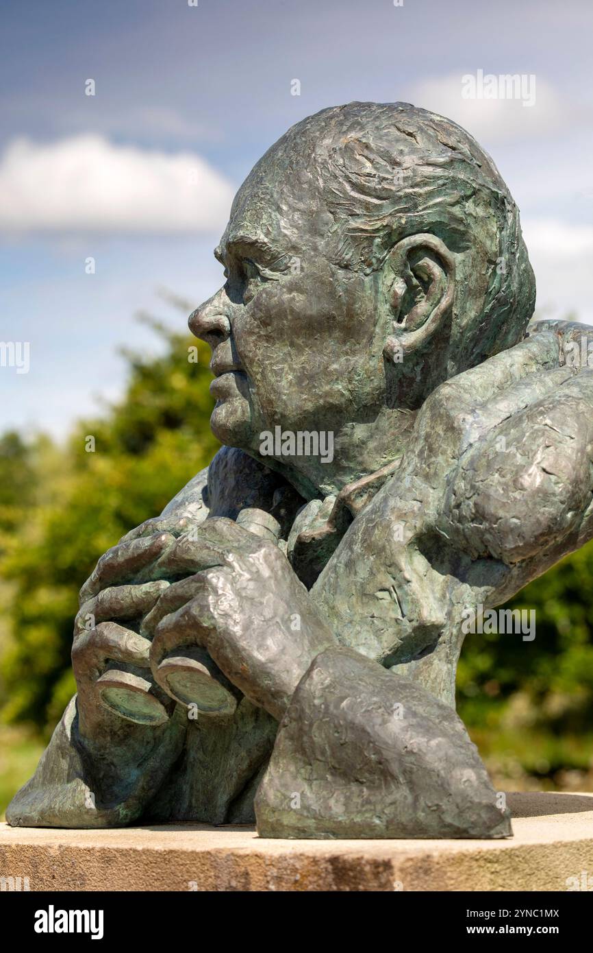 UK, England, Gloucestershire, Vale of Berkeley, Slimbridge, Wildflower ...
