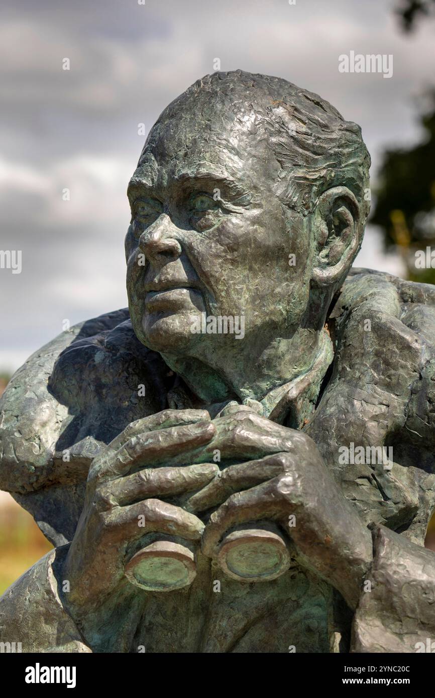 UK, England, Gloucestershire, Vale of Berkeley, Slimbridge, Wildflower ...