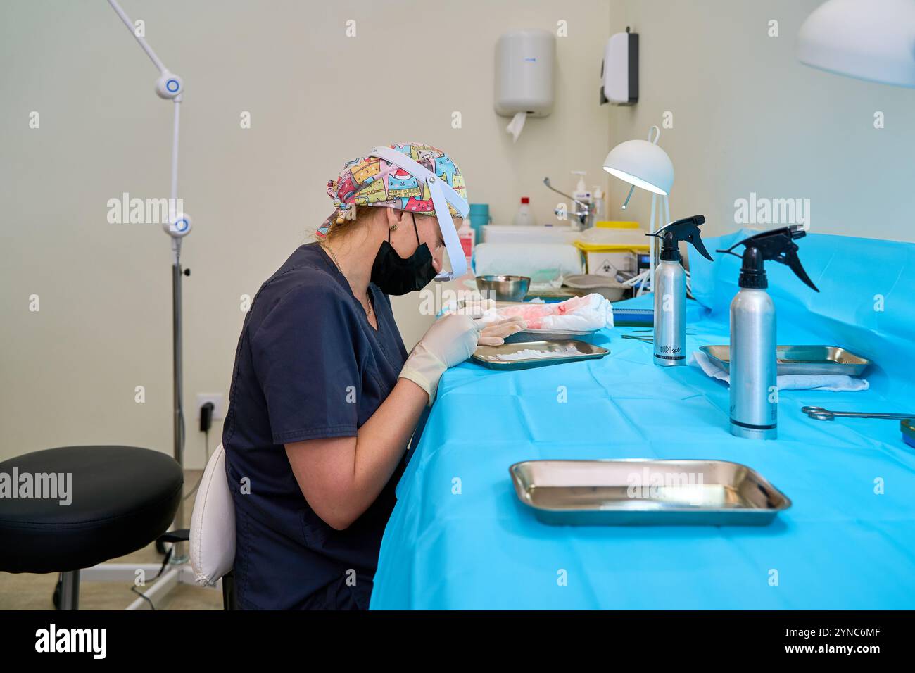 Female surgeon preparing tissue samples in a sterile surgical lab ...