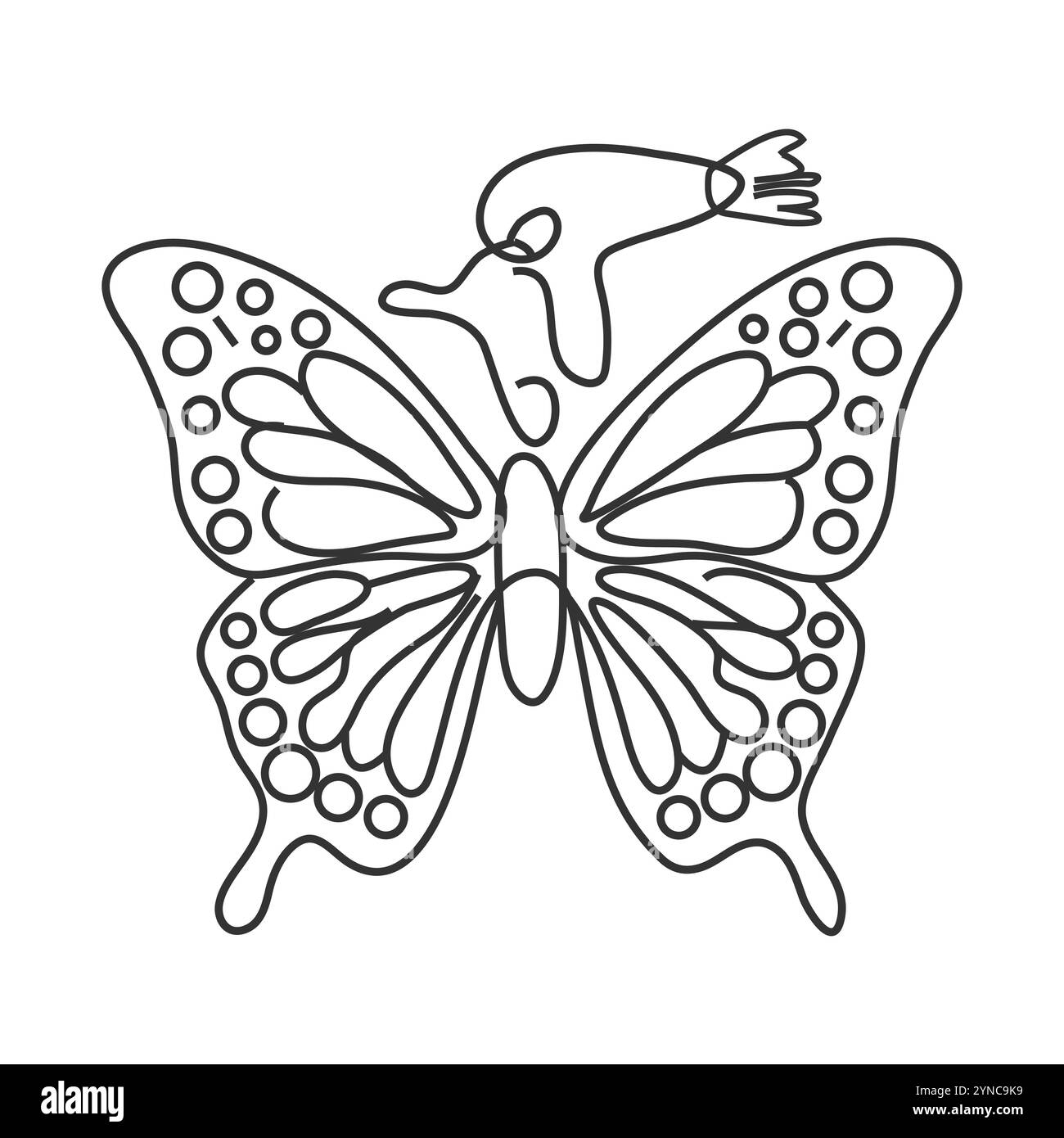 Butterfly and moon pattern on the wing. Graphic illustration of a ...