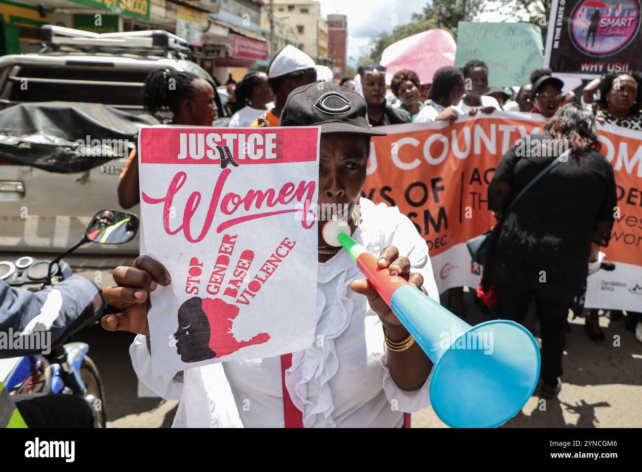 Nakuru, Kenya. 25th Nov, 2024. Activists holding placards chant slogans ...