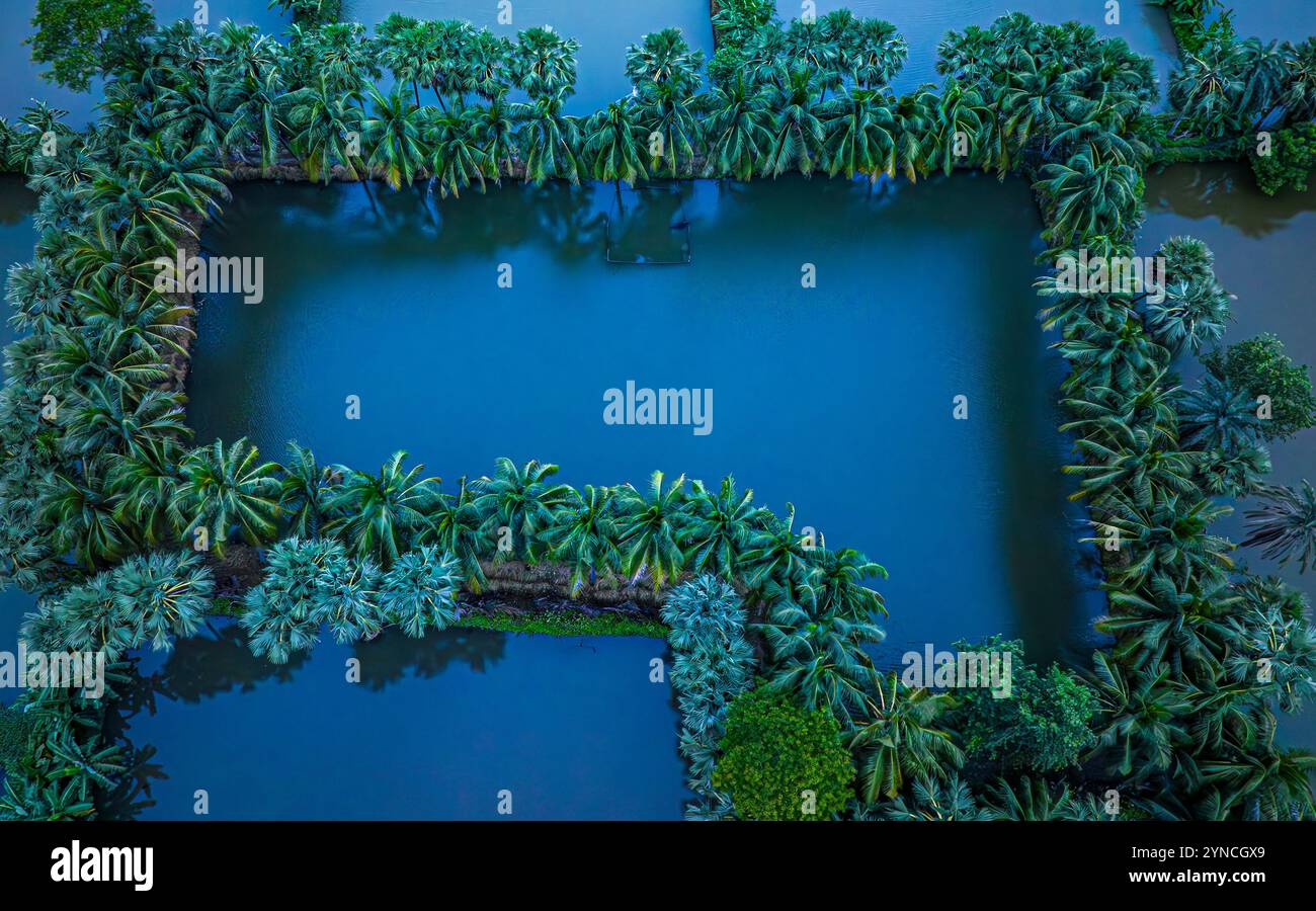 Drone view of shrimp culture pond Stock Photo - Alamy