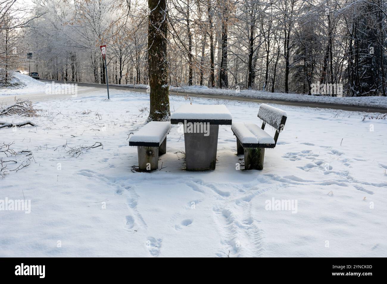 Picnic table in parking hi-res stock photography and images - Alamy