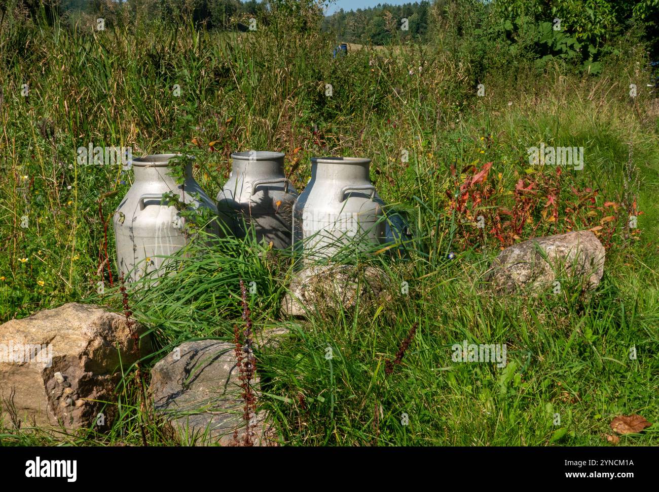 Vintage milk cans hi-res stock photography and images - Alamy