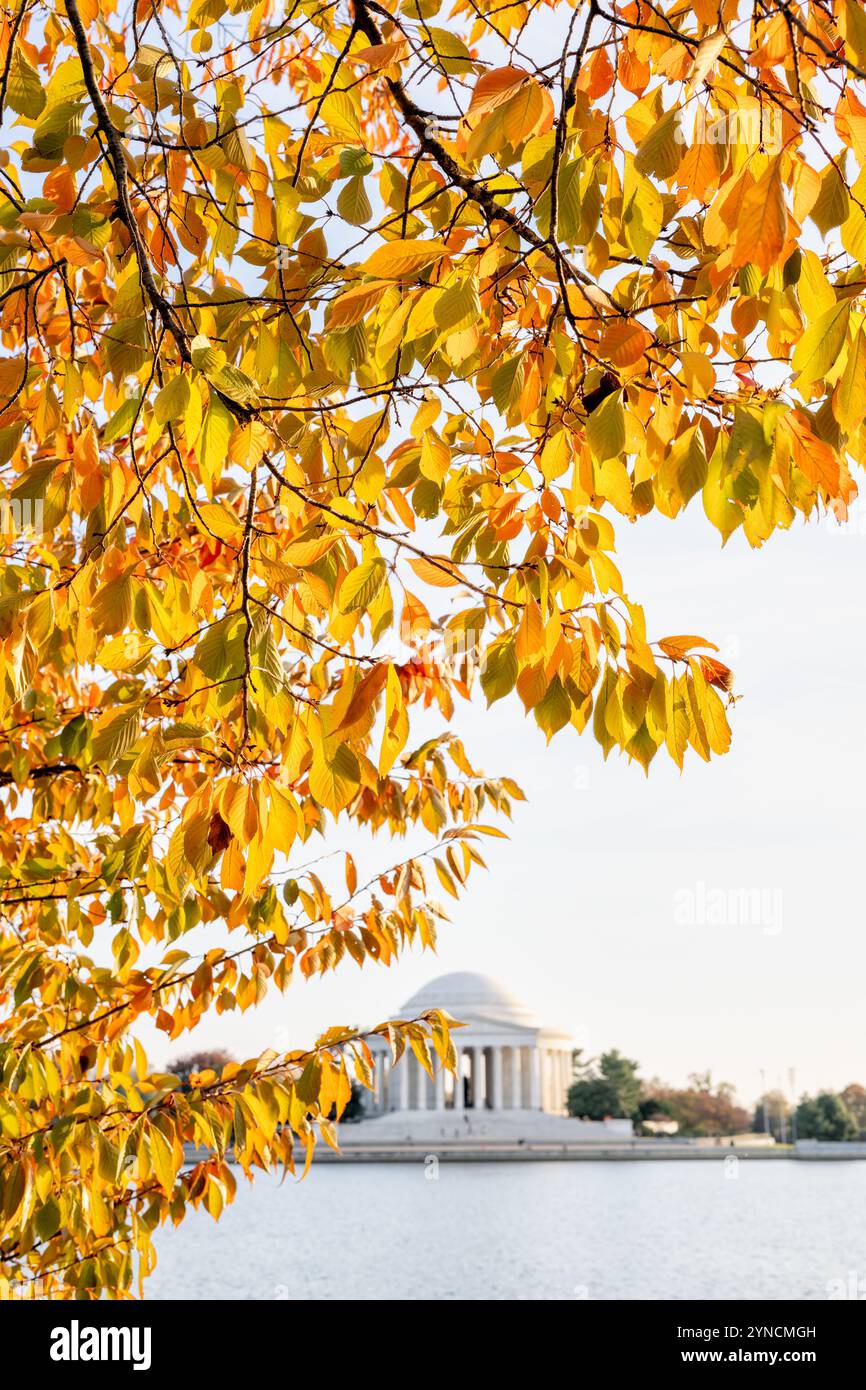 WASHINGTON DC, United States — Autumn foliage frames the Jefferson ...