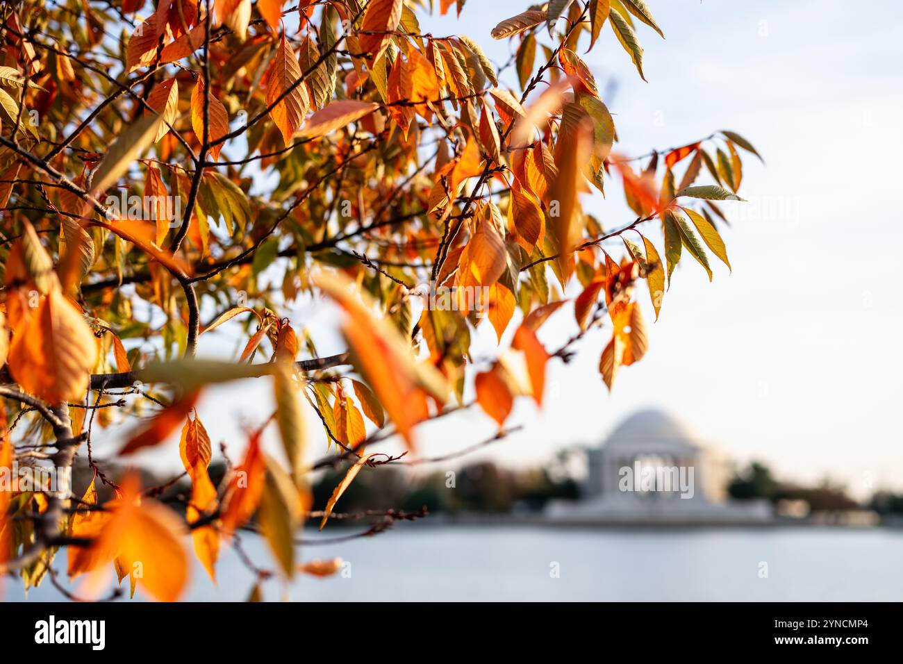 Dc instagram spots hi-res stock photography and images - Alamy