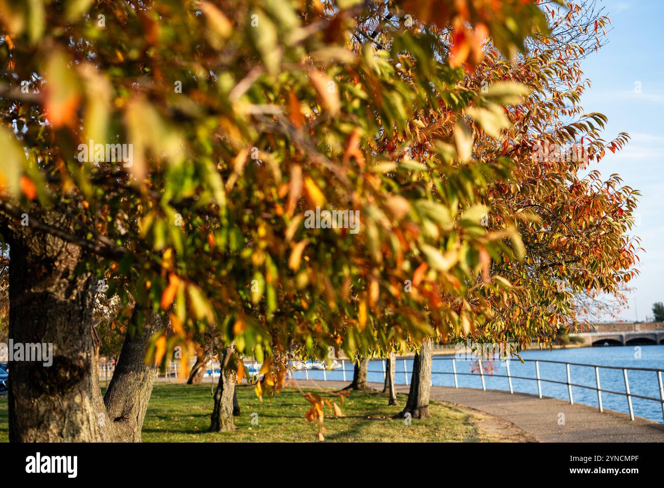 Washington dc fall activities hi-res stock photography and images - Alamy