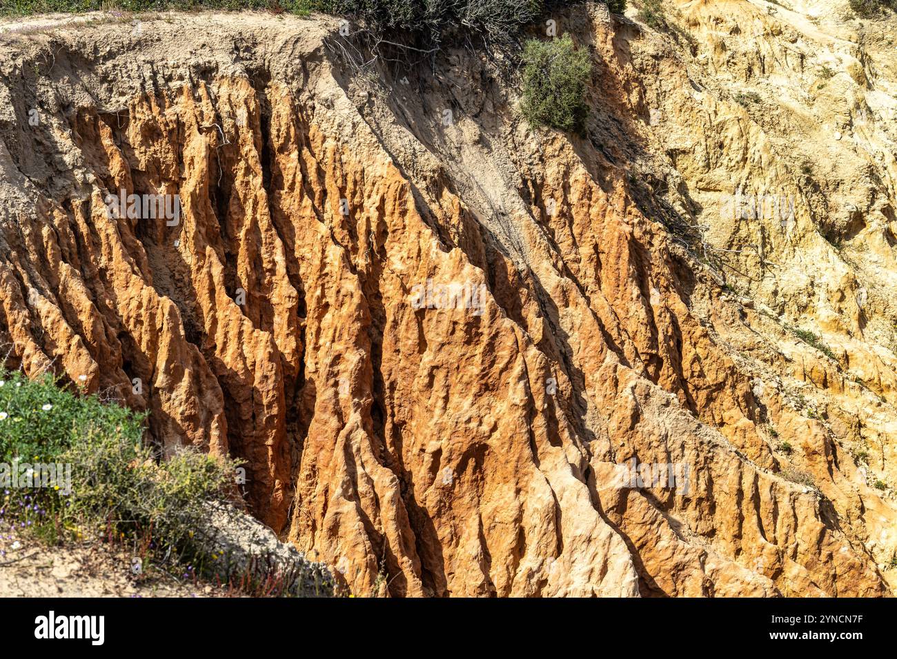 Praia da Marinha Beach among rock islets and cliffs seen from Seven ...