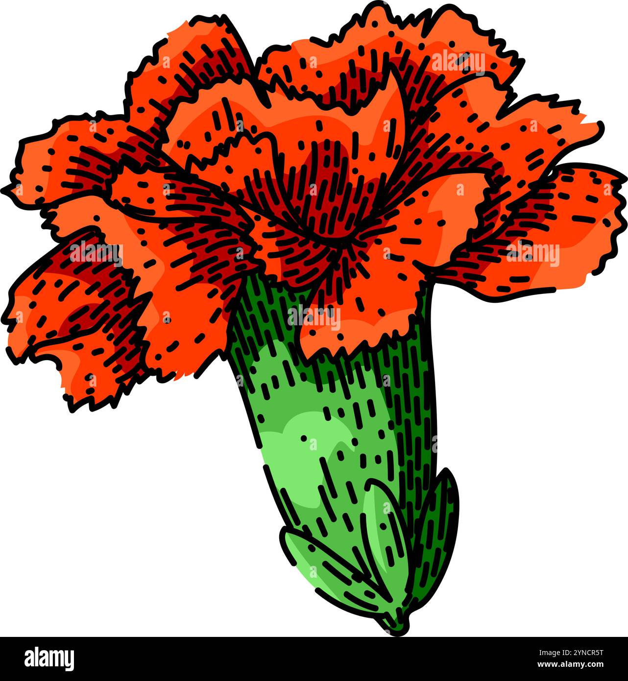 Carnation arrangement Stock Vector Images - Alamy