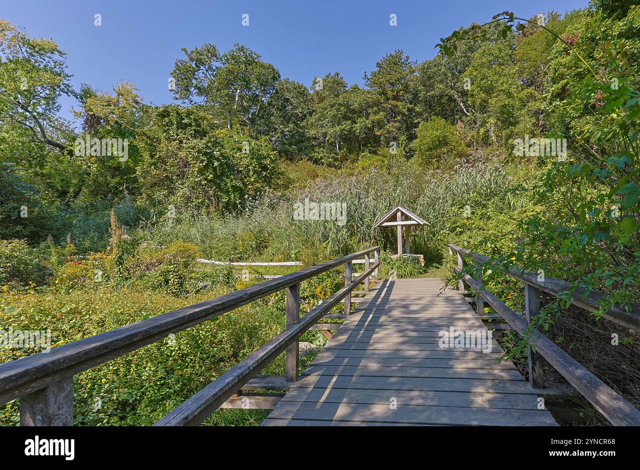 Beautiful beaches and landmarks of Brewster, MA. Capturing the quiet ...