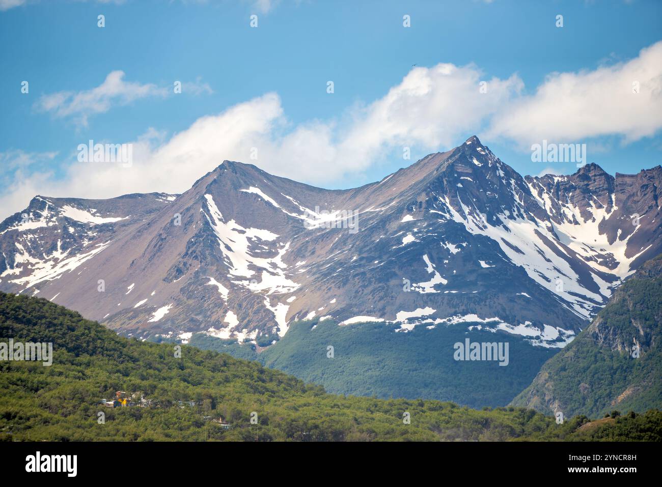 Fuegian ecology hi-res stock photography and images - Alamy