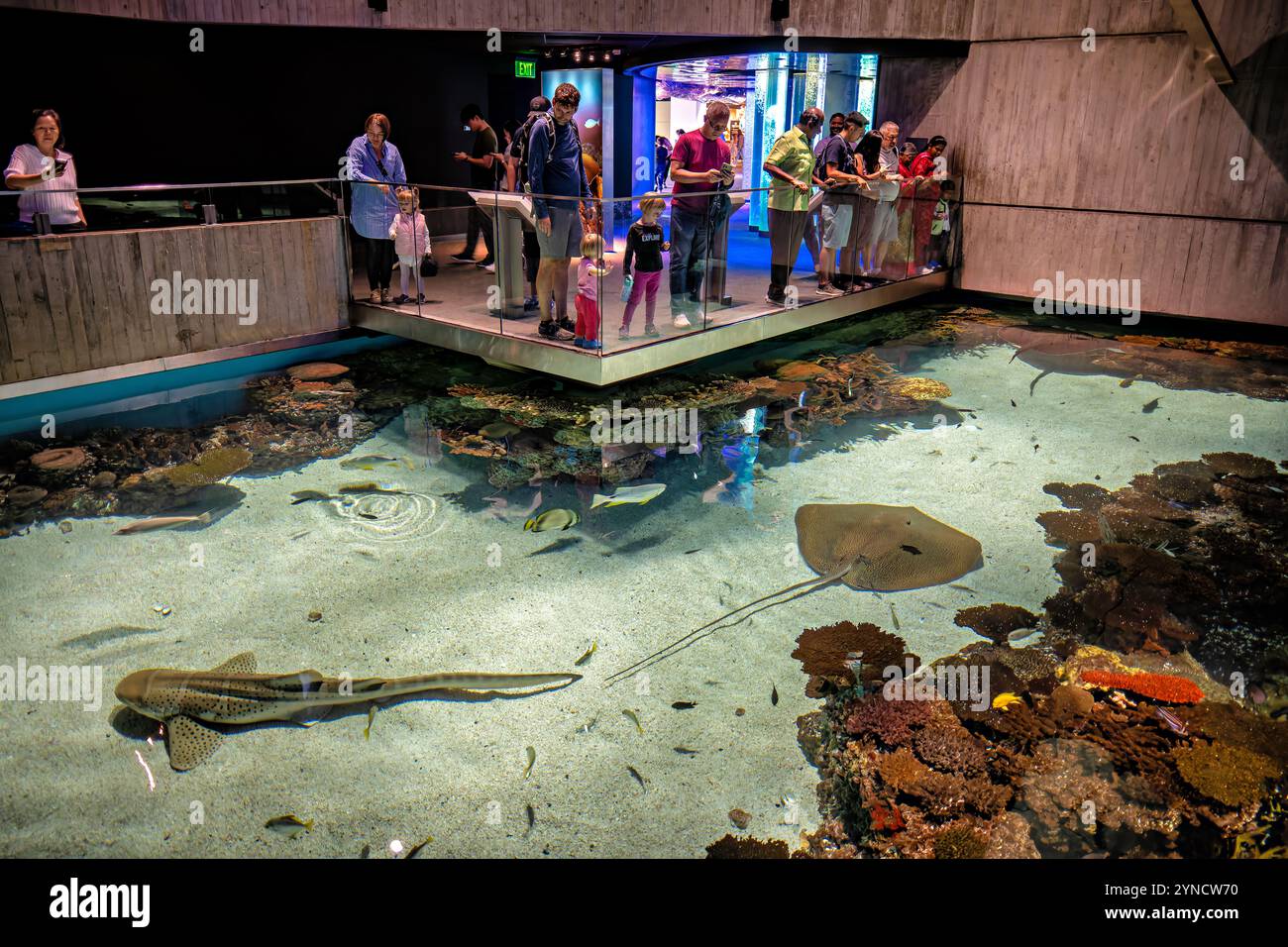 Tropical ecosystem display hi-res stock photography and images - Alamy