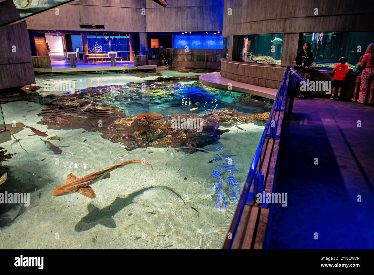 Tropical ecosystem display hi-res stock photography and images - Alamy