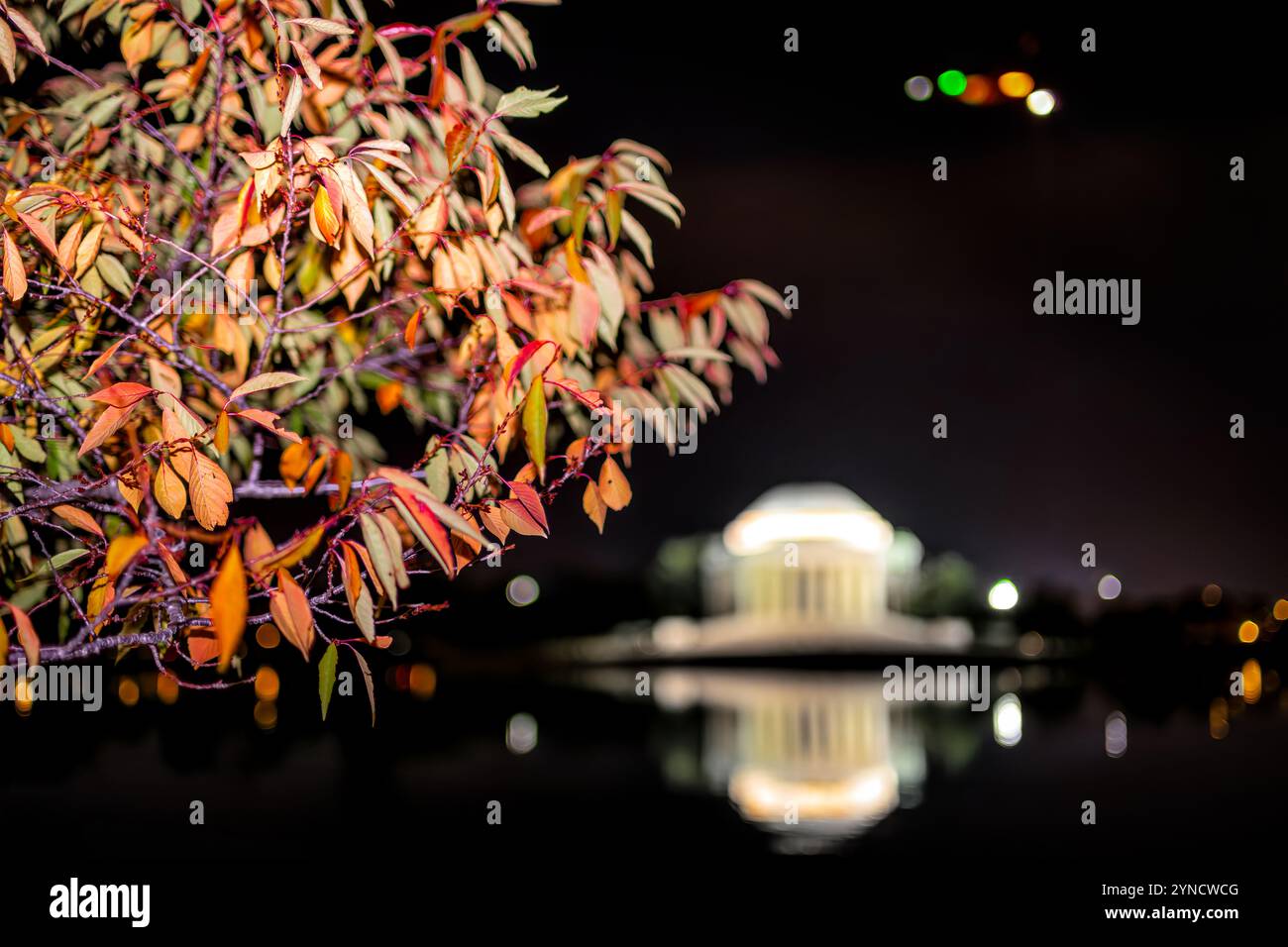 WASHINGTON DC, United States — Yoshino cherry trees display their ...