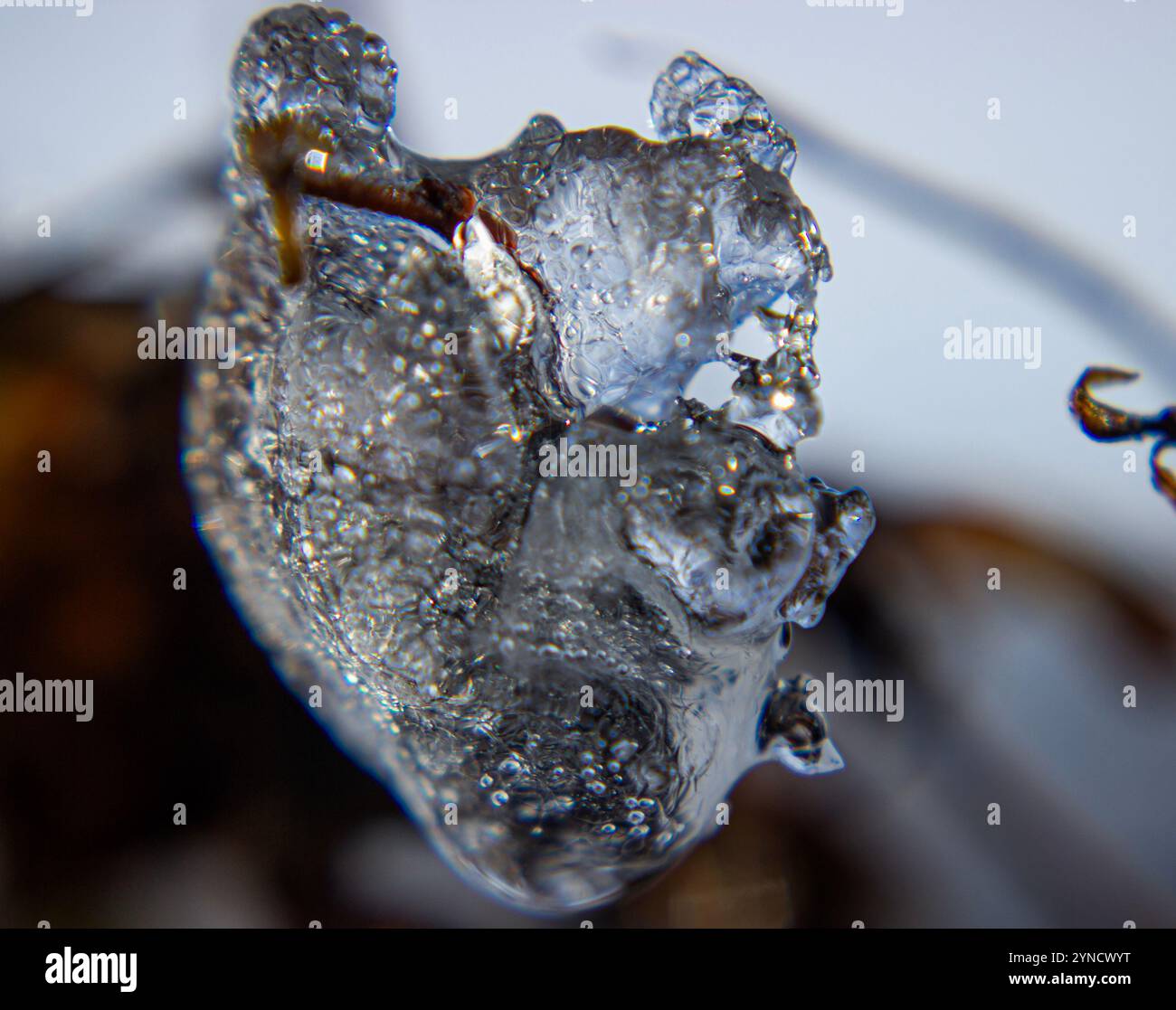 Frozen form hi-res stock photography and images - Alamy