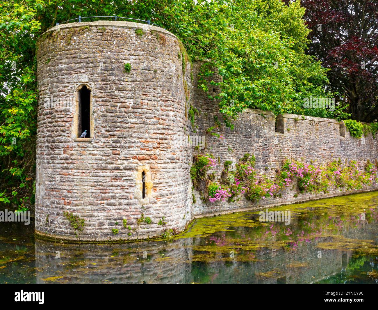 Part of the exterior and garden of the Bishop's Palace residence of the ...