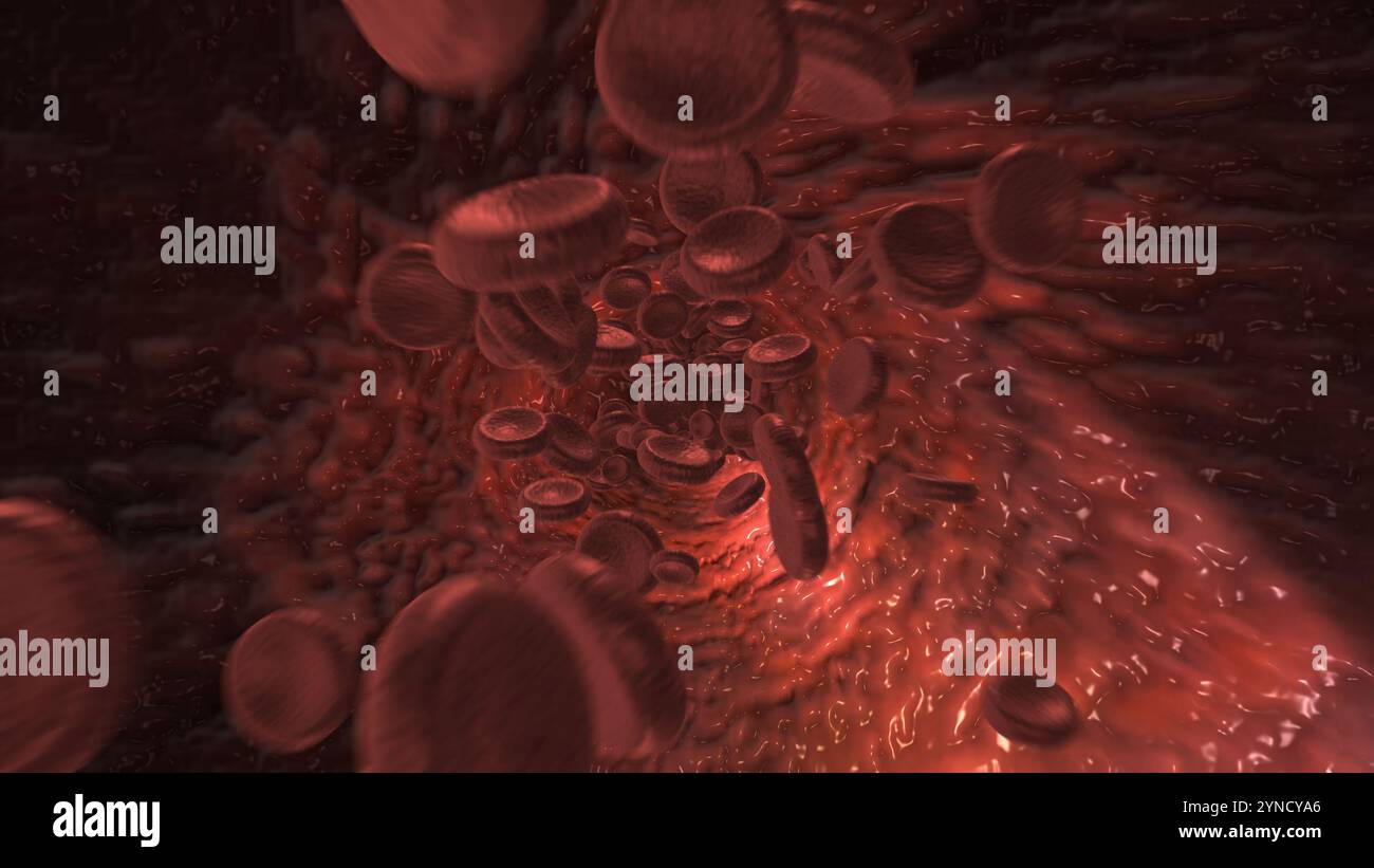 Artery vitality hi-res stock photography and images - Alamy