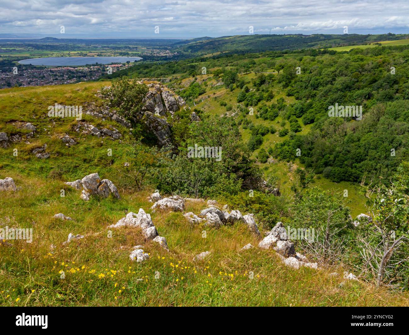 View of the carboniferous limestone cliffs at Cheddar Gorge a tourist ...