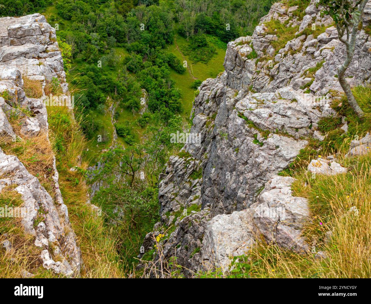 View of the carboniferous limestone cliffs at Cheddar Gorge a tourist ...