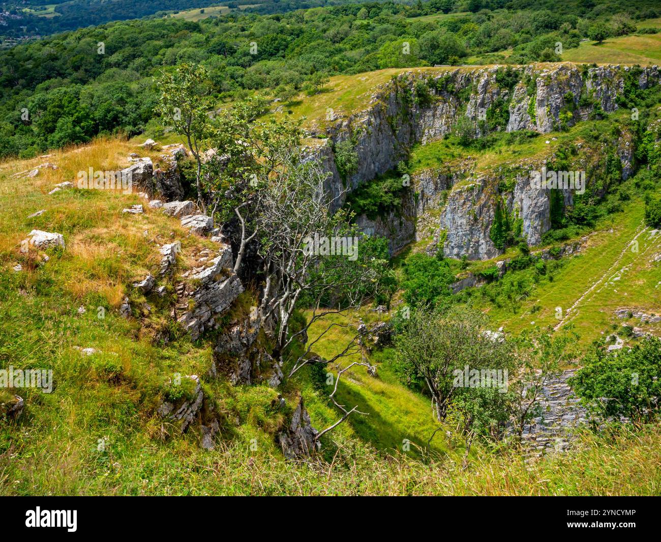 View of the carboniferous limestone cliffs at Cheddar Gorge a tourist ...