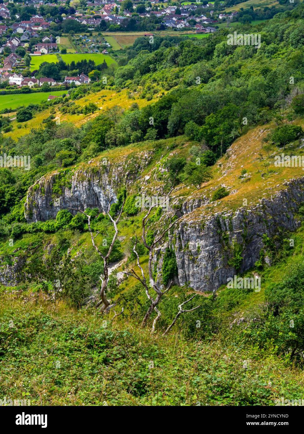 View of the carboniferous limestone cliffs at Cheddar Gorge a tourist ...