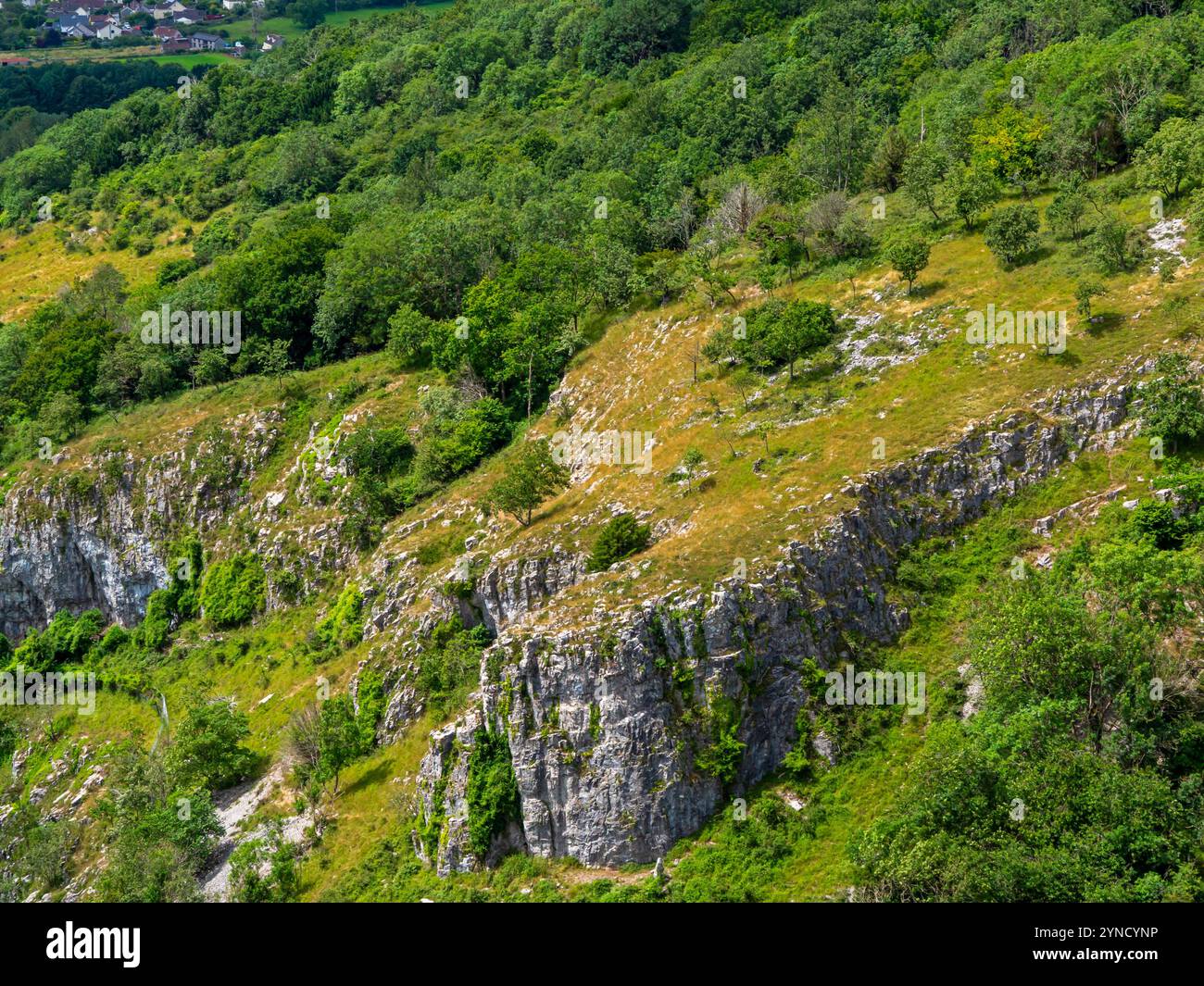 View of the carboniferous limestone cliffs at Cheddar Gorge a tourist ...