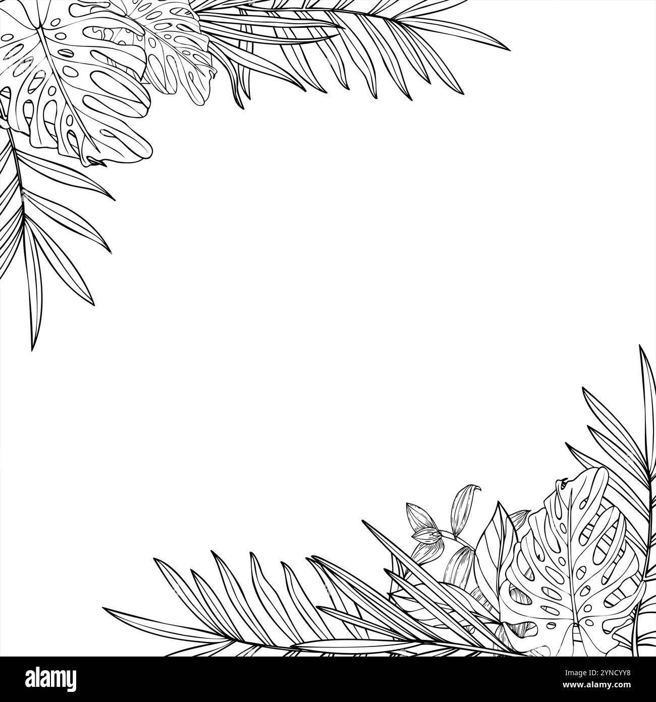 Jungle Border Black And White Leaves Border Free Stock Vectors