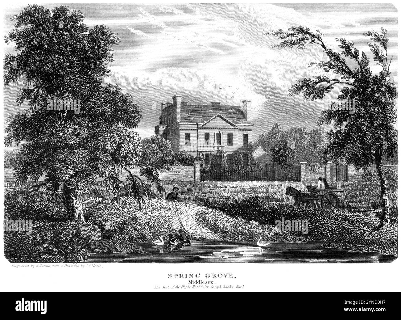 Engraving of Spring Grove The Seat of the Right Hon. Sir Joseph Banks ...