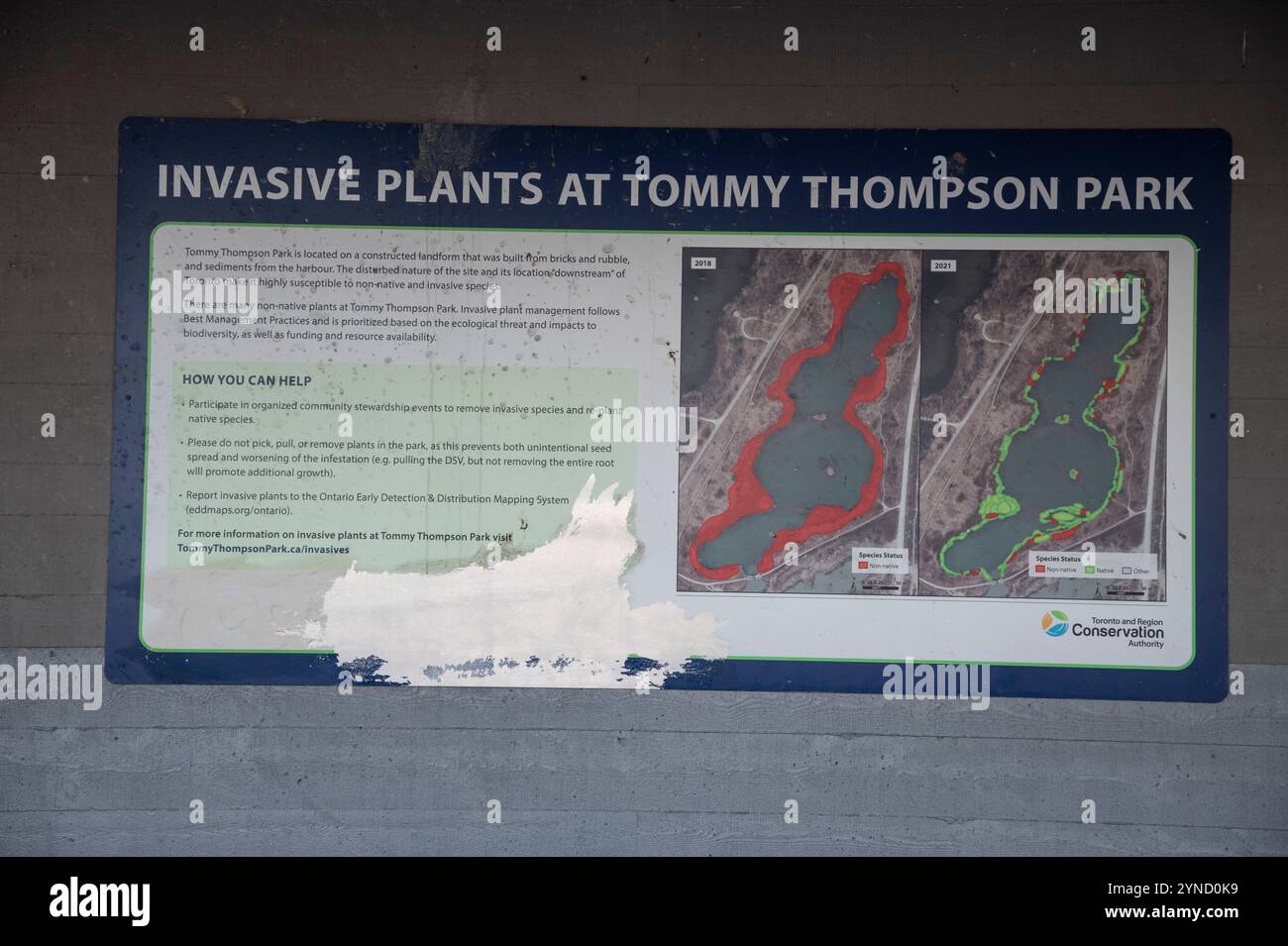 Invasive plants sign at Tommy Thompson Park in Scarborough, Toronto ...