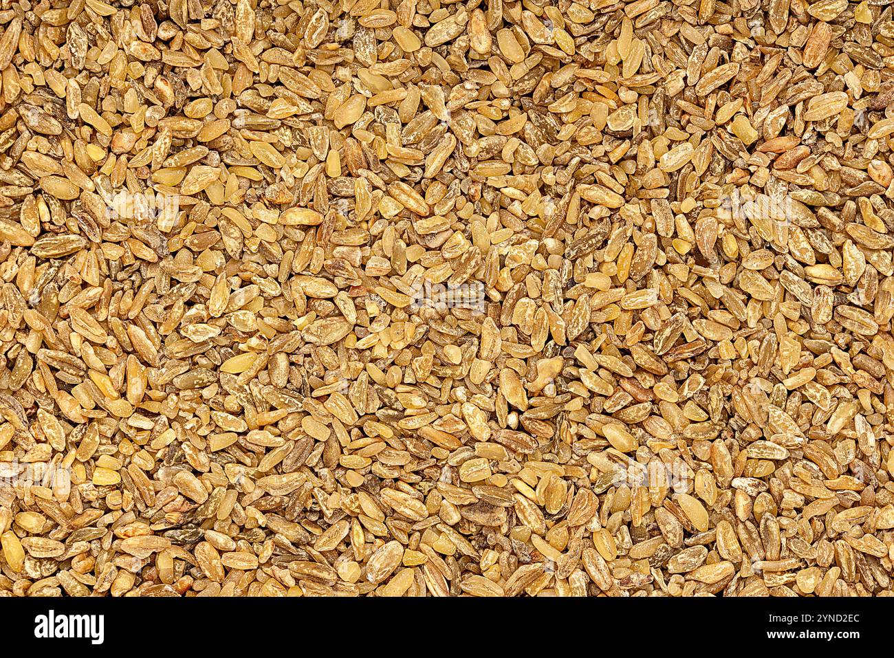 Macro photography of raw freekeh, frikeh, fire-roasted green durum ...