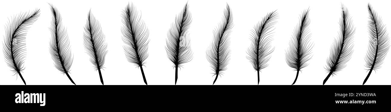 Black Feathers Set Stock Vector Image Art Alamy