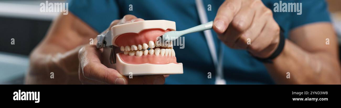 Demonstrating Proper Brushing Technique on Dental Model Stock Photo - Alamy