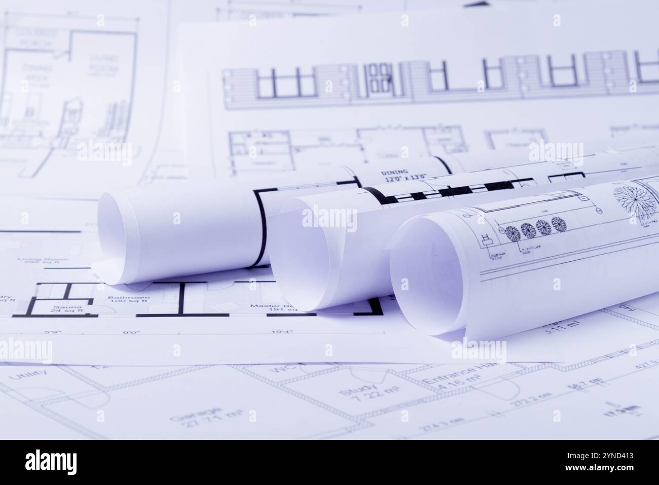 Construction plan. Scheme drawing rolled up in a roll. Home renovation ...
