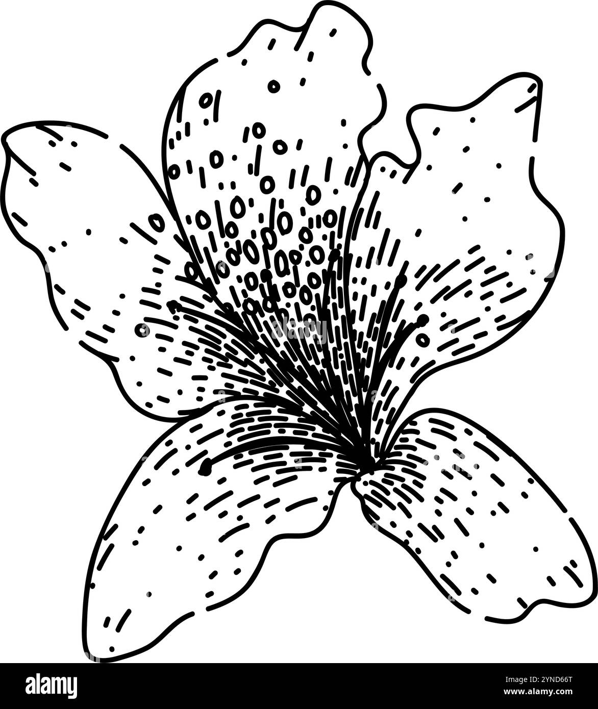 shrub azalea sketch hand drawn vector Stock Vector Image & Art - Alamy