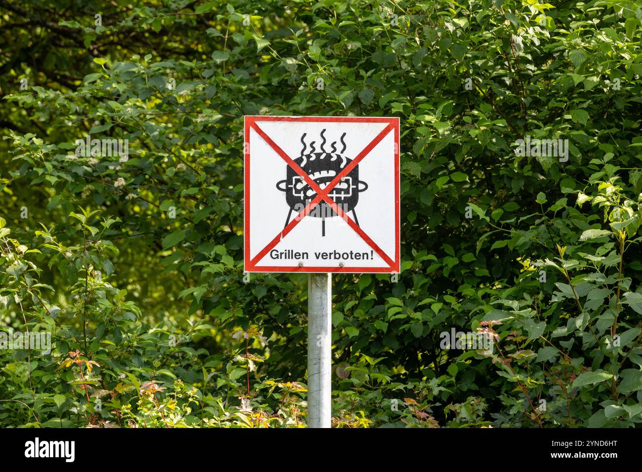 Warning sign with a barbecue grill forbidden to grill Stock Photo - Alamy