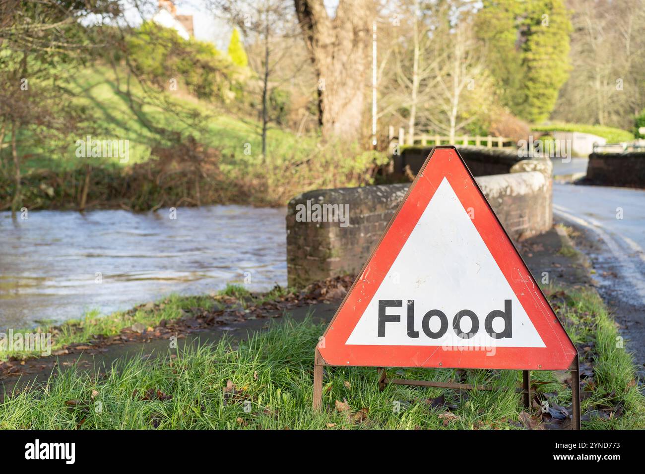Kidderminster, UK. 25th November, 2024. UK weather: close up of a flood ...