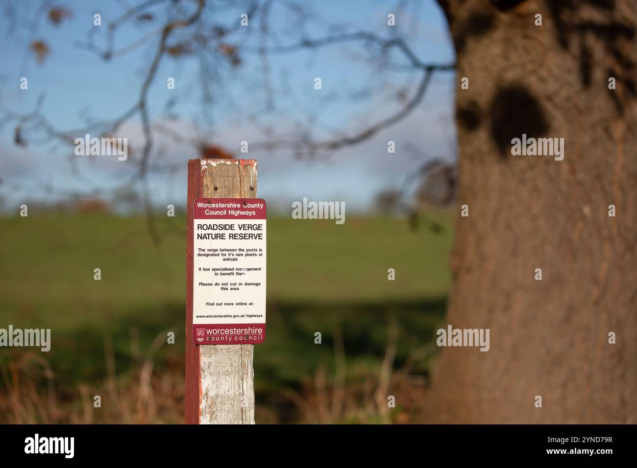 Roadside verge nature reserve sign. Sign reads, the verge between the ...