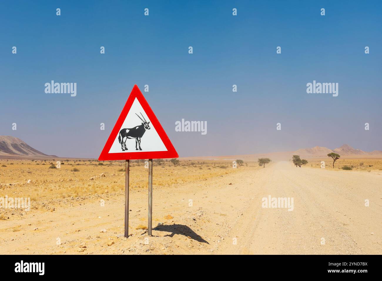 Caution Oryx, wildlife road sign in the Namib desert in Namibia, Africa ...