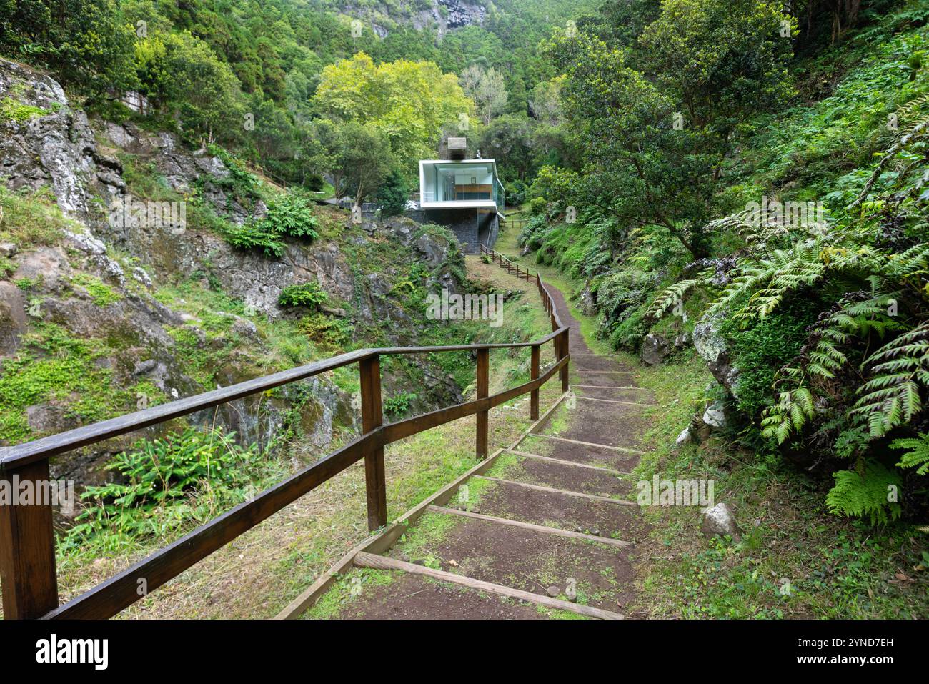 The Furna do Enxofre, situated in the south-eastern part of the ...