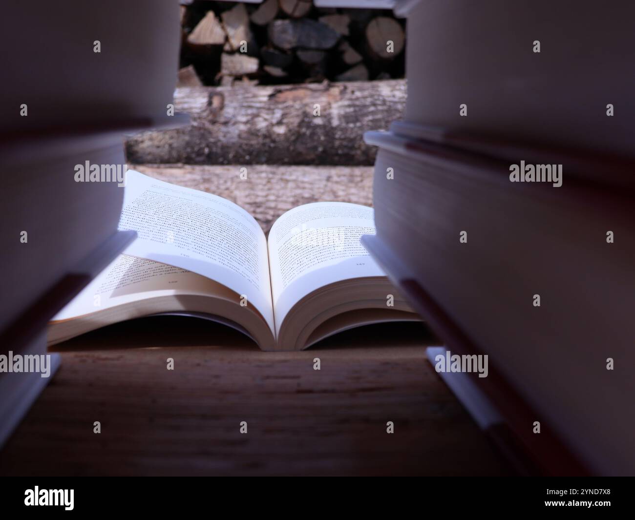image showing a book through books, with one displaying letters flying ...