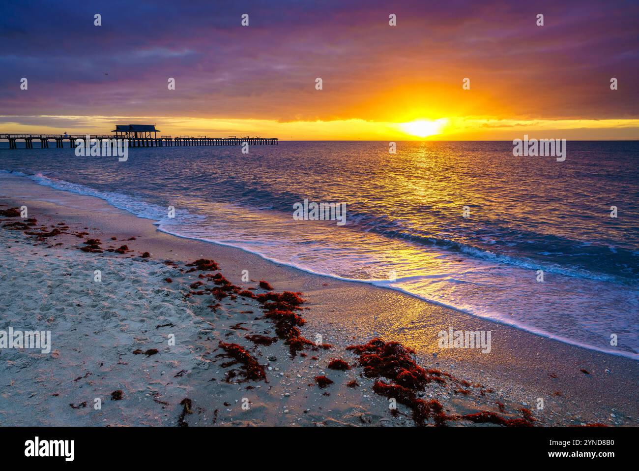 Beautiful sunset at naples pier hi-res stock photography and images - Alamy