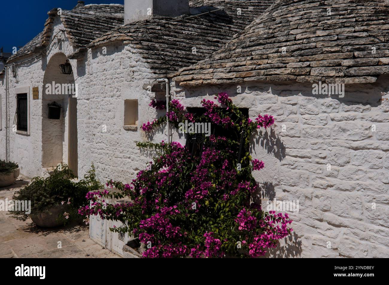 Purple bougainvillea contrasts with the whitewashed walls of this ...