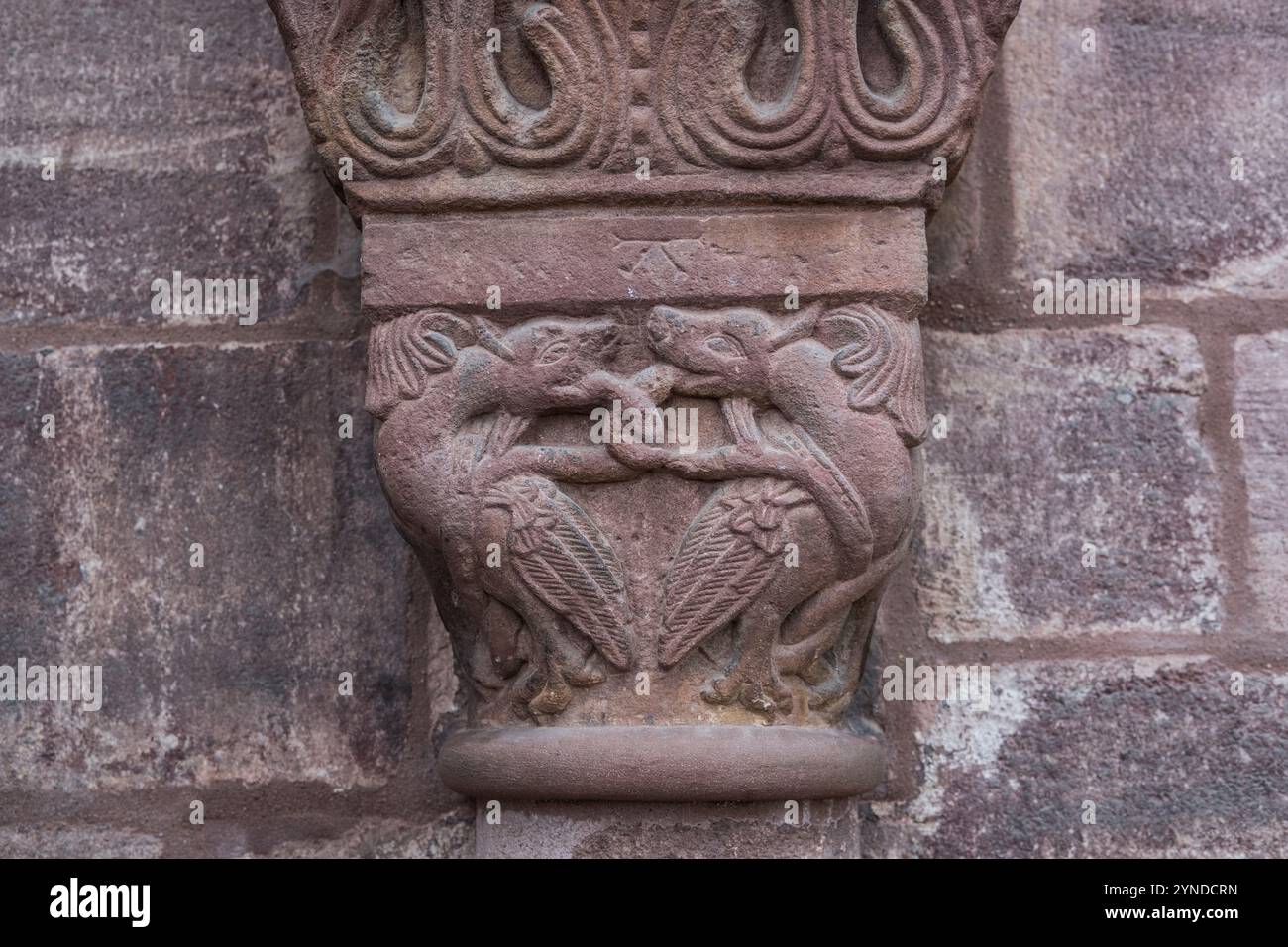 Basel Minster, cathedral, Basel, Switzerland Stock Photo - Alamy
