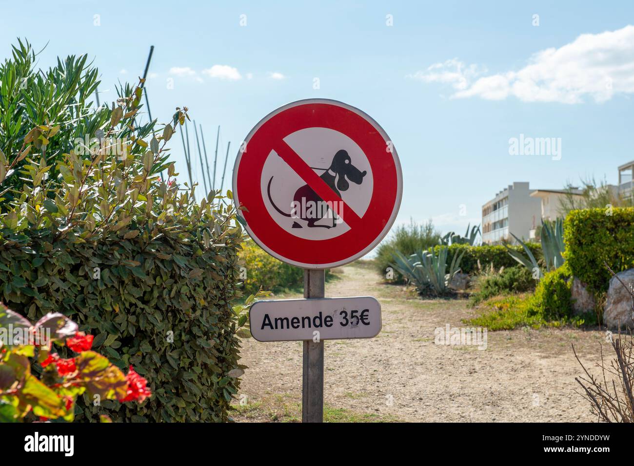 An official No Do Poo in this area sign with fines of 35 Euros seen in ...