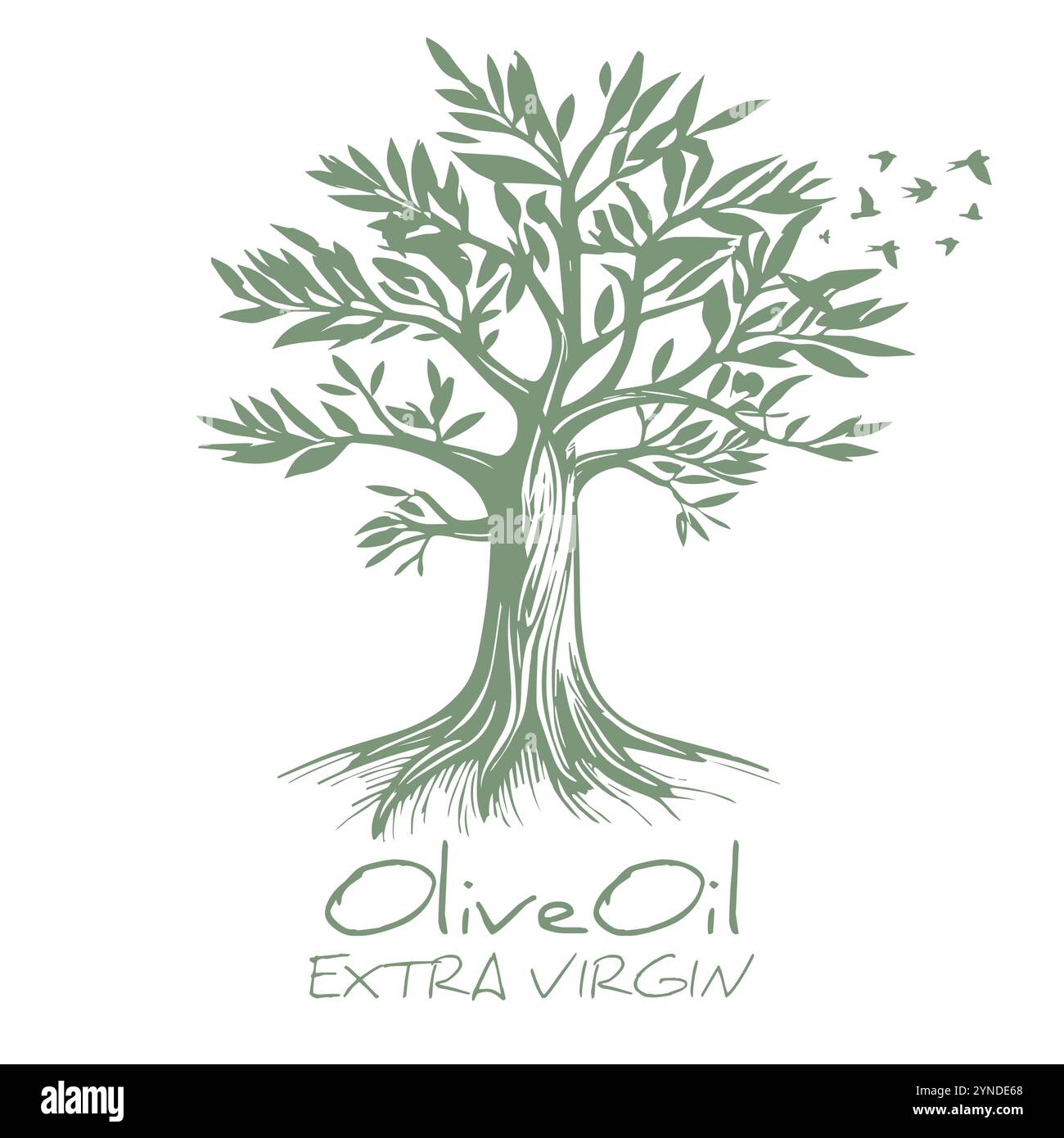 Olive Tree. Extra virgin olive oil symbol. Symbol of culture and ...