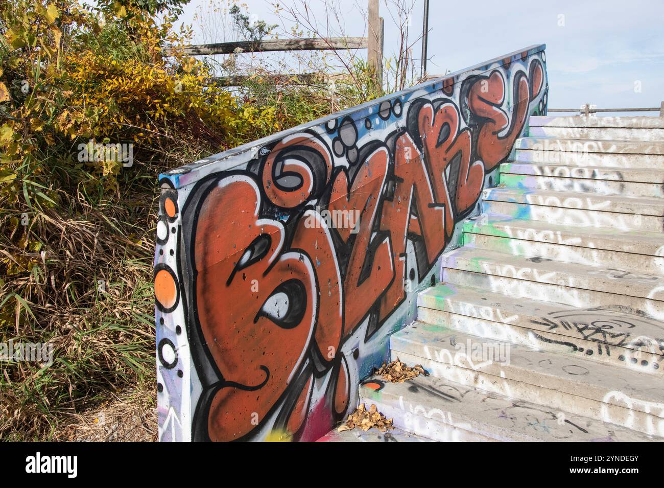 Graffiti tagged on the skatepark at Tubs & Gee Gage Rugby Field on ...